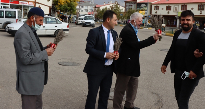 Çat ilçesinde lavanta hasatı yapıldı Çat ilçesinde lavanta hasatı yapıldı